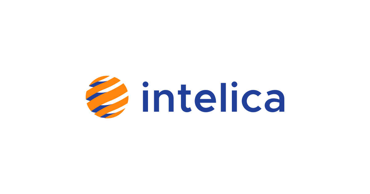 About Our Payment Consulting Firm | Intelica